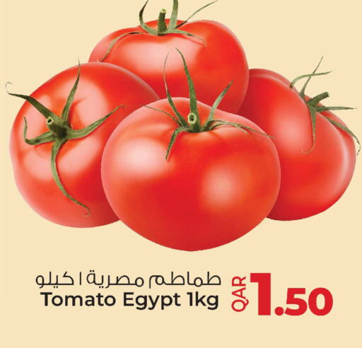 Tomato in Ansar Gallery Qatar - Doha | D4D Online