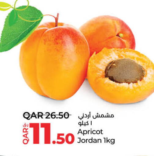 Dried Fruits & Dates offers in Qatar - Doha