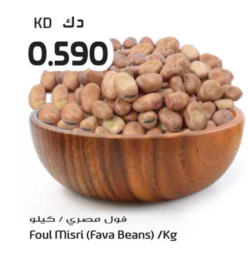 Pulses, Beans & Grains offers in Kuwait - Ahmadi Governorate
